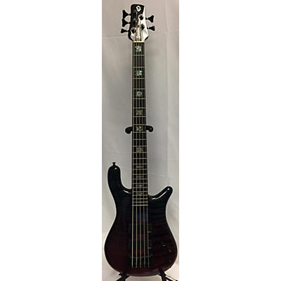 Spector 5 String Electric Bass | Musician's Friend