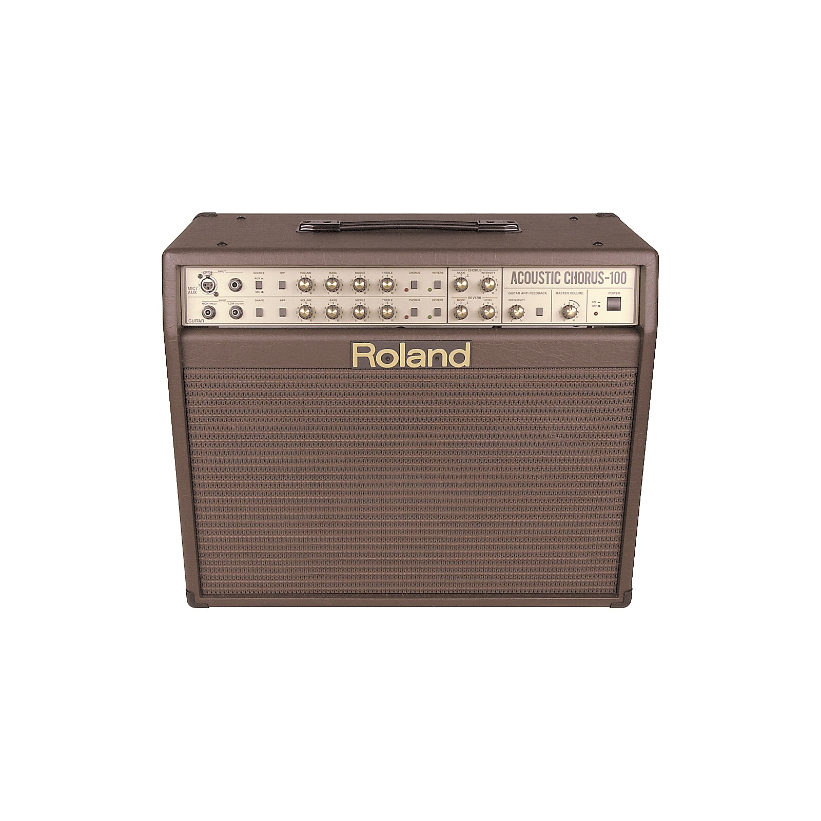 Roland AC-100 Acoustic Chorus Amp | Musician's Friend