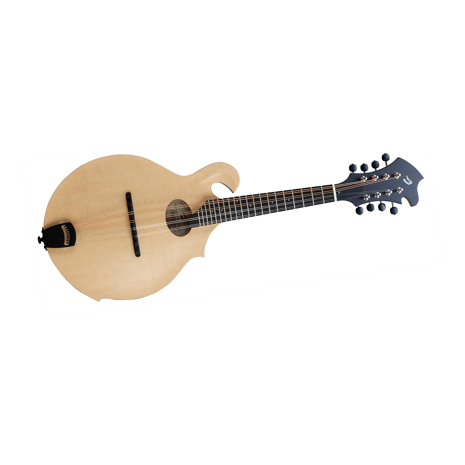 Breedlove American FO Mandolin with LR Baggs Radius Pickup | Musician's ...