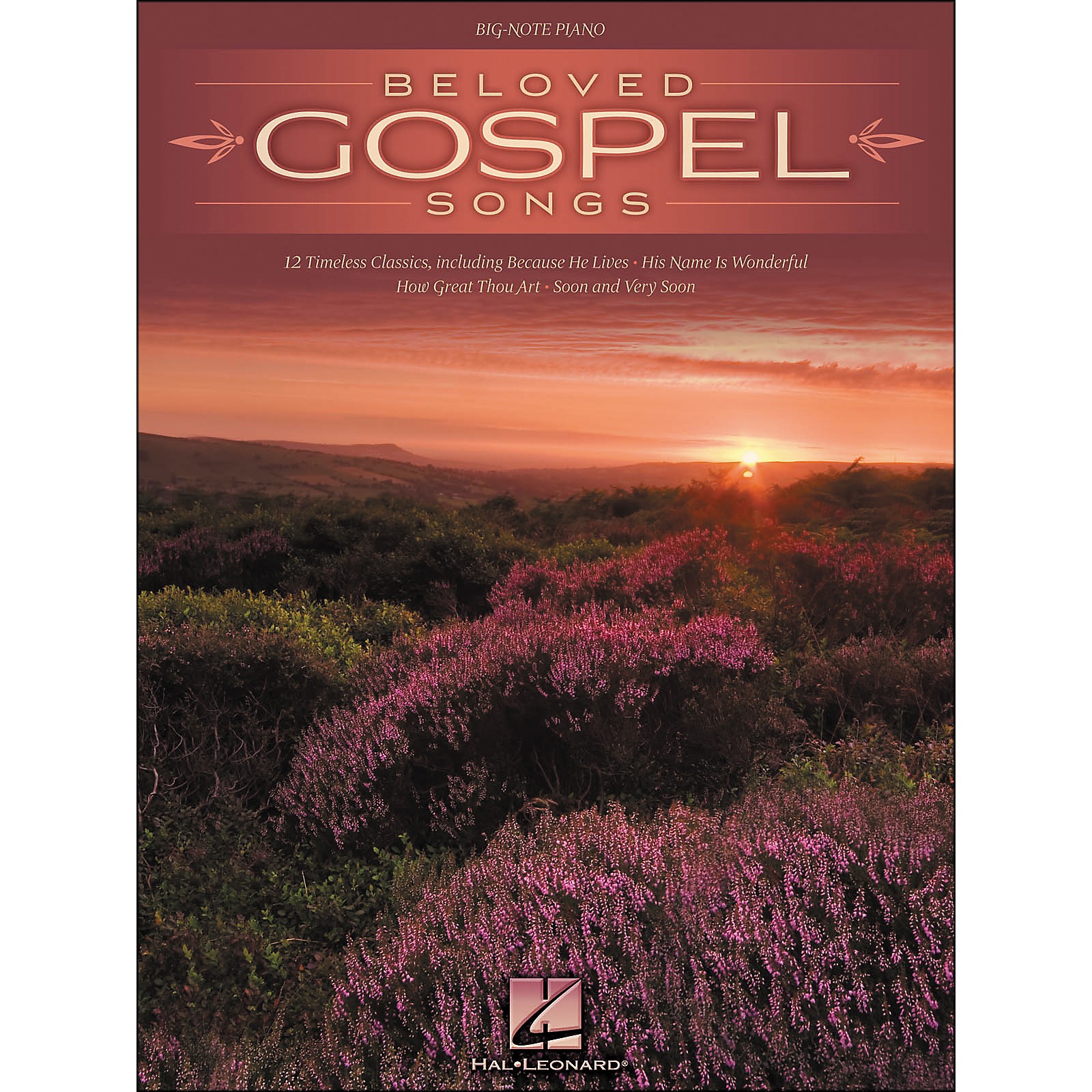 Hal Leonard Beloved Gospel Songs for Big Note Piano | Musician's Friend