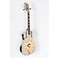 Dean Chrome G Acoustic-Electric Resonator Guitar Chrome/Gold | Musician ...