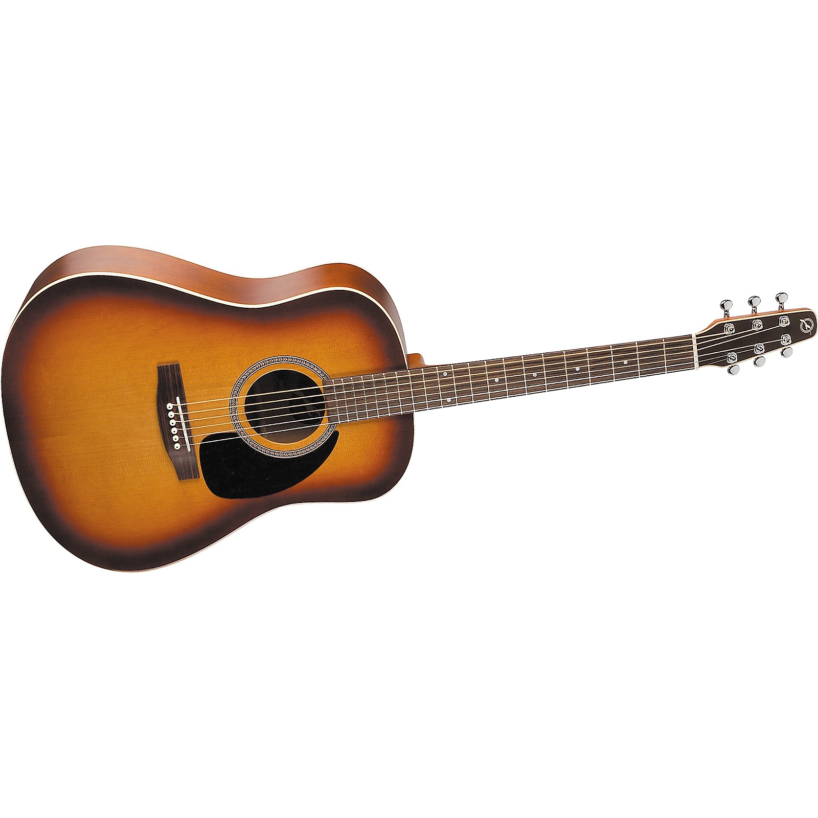 Seagull Coastline S6 GT Dreadnought Acoustic Guitar | Musician's Friend