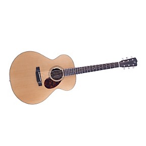 Breedlove Focus Revival J/Sre Acoustic-Electric Guitar | Musician's Friend