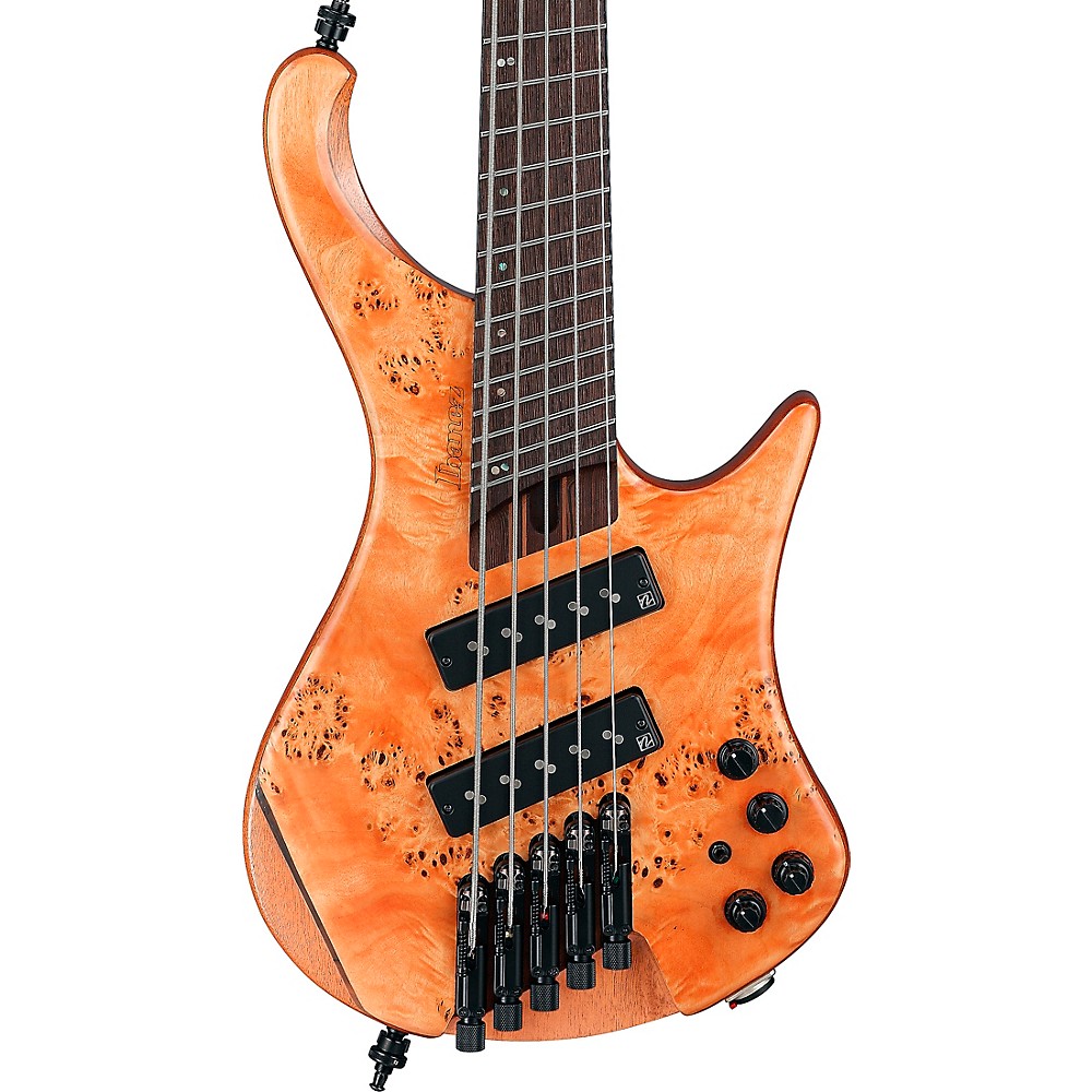 Best 5-String Bass Under $2000 (with current pricing) - Guitar Chalk