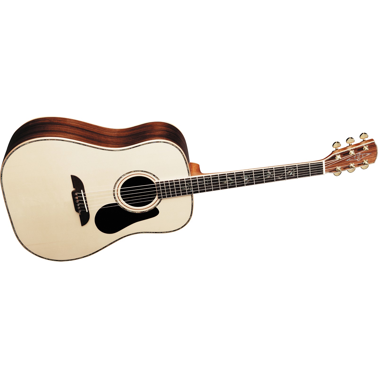 Alvarez PD100S Professional Series Acoustic Guitar | Musician's Friend