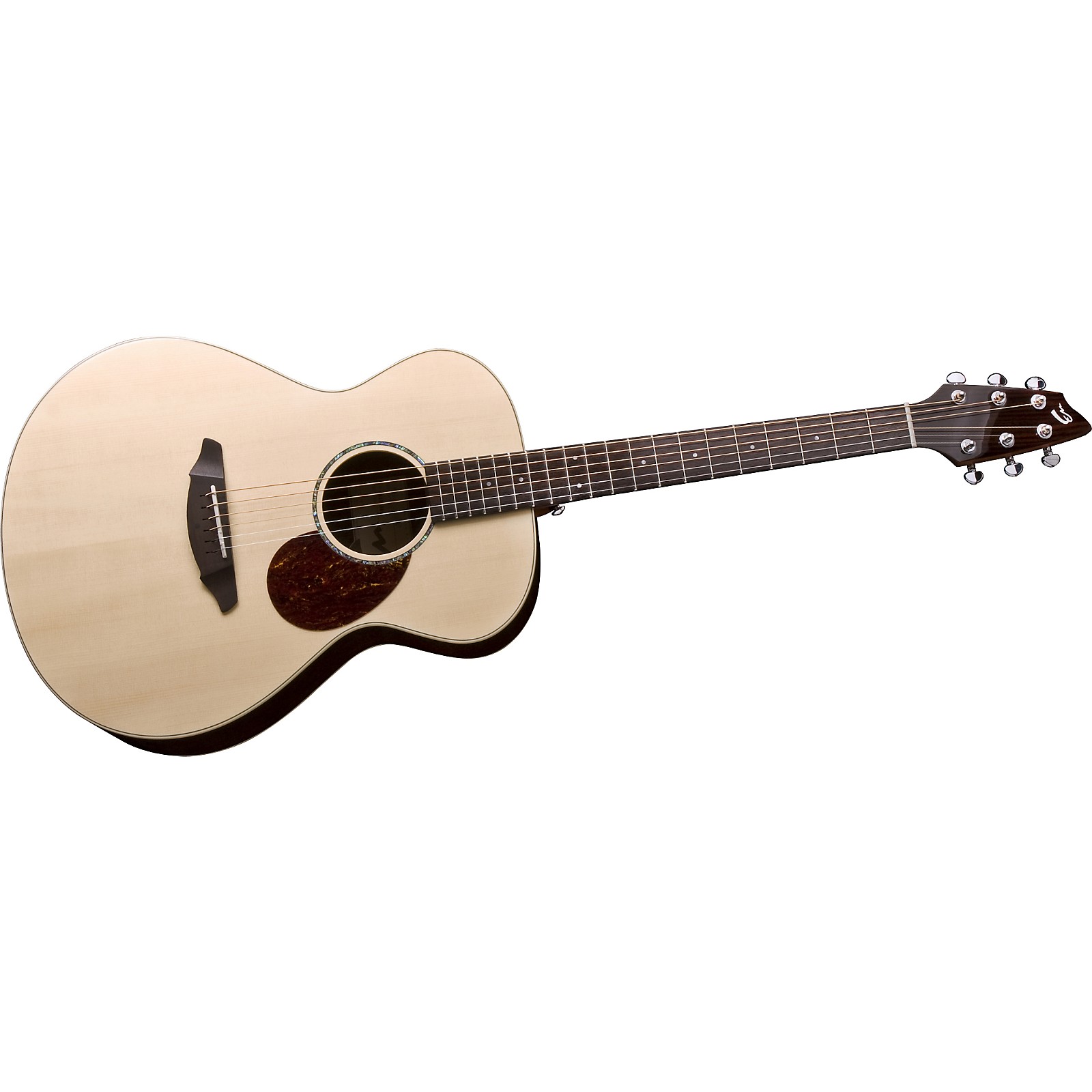 Breedlove Passport Plus C200sr Acoustic Guitar Musicians Friend