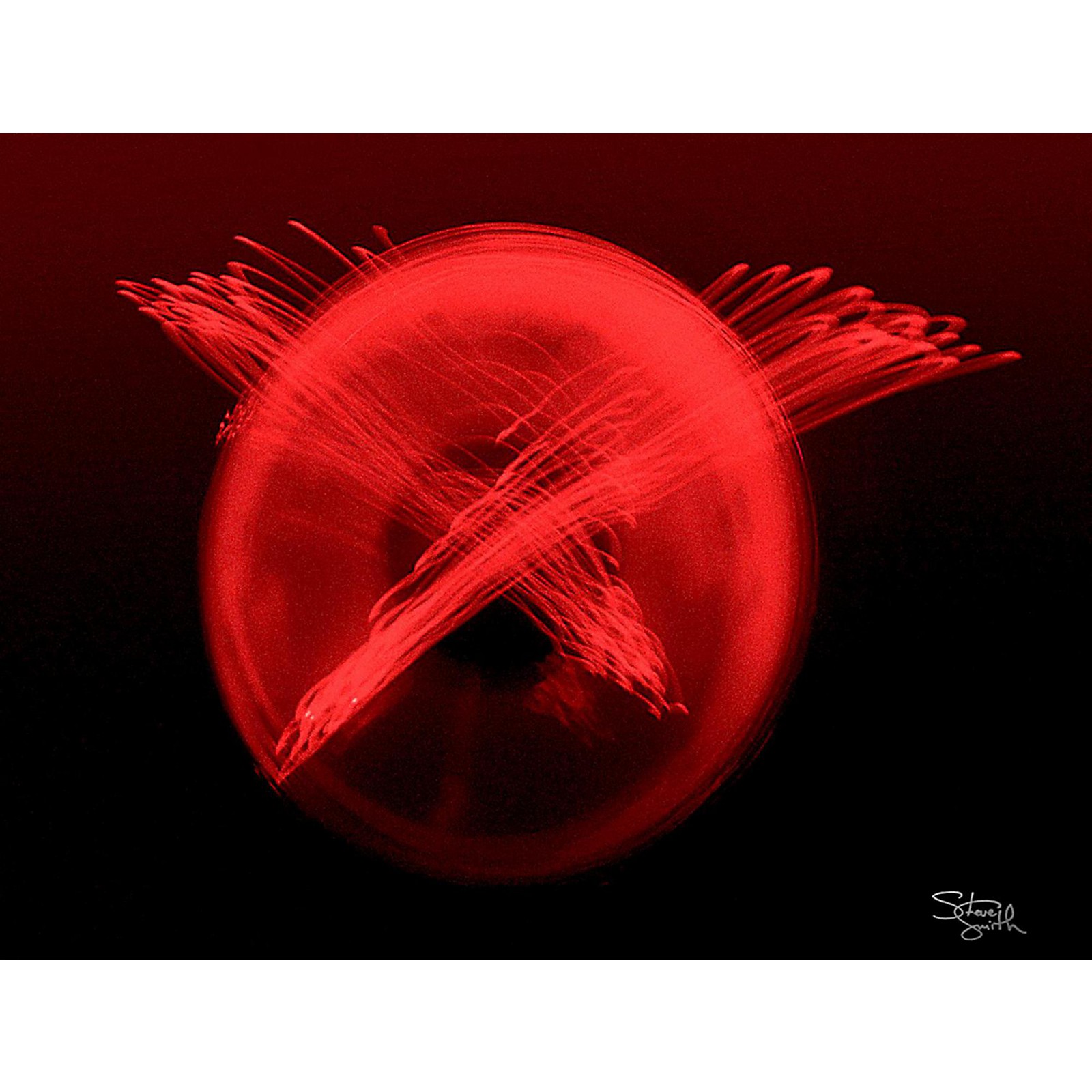 Steve Smith's Drum Art Zen Roll by SceneFour | Musician's Friend